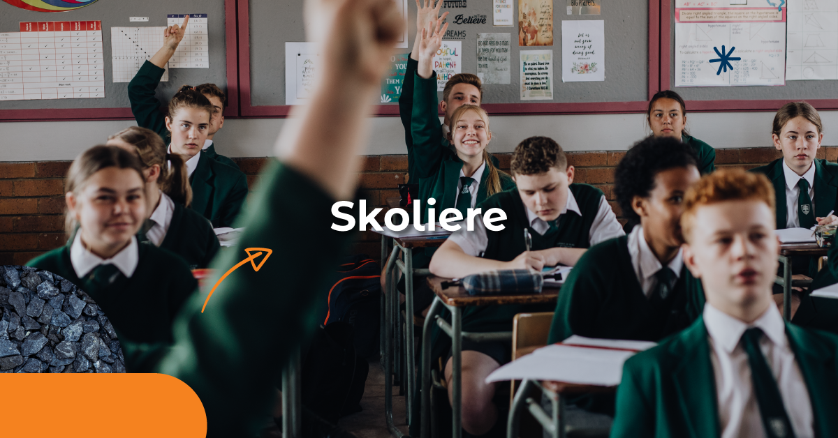 Solidariteit netwerk