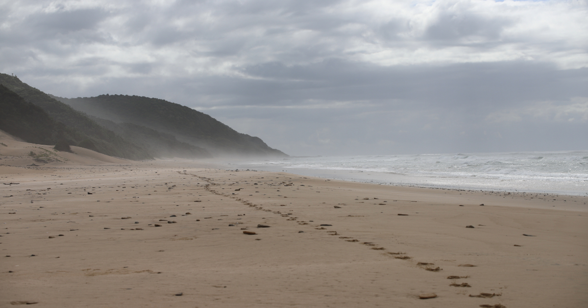 Welkom by Bosbokstrand, jou huis by die see - Solidariteit