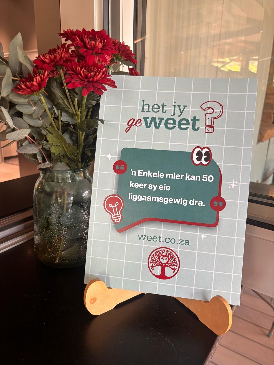 Weet | Betroubare Inligting | Laai Die App Af!